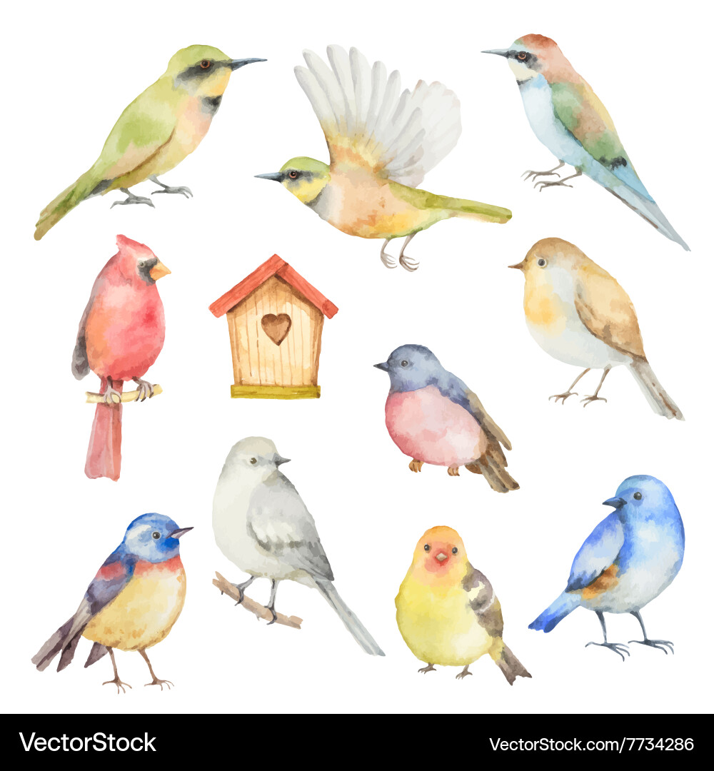 Watercolor set of birds Royalty Free Vector Image