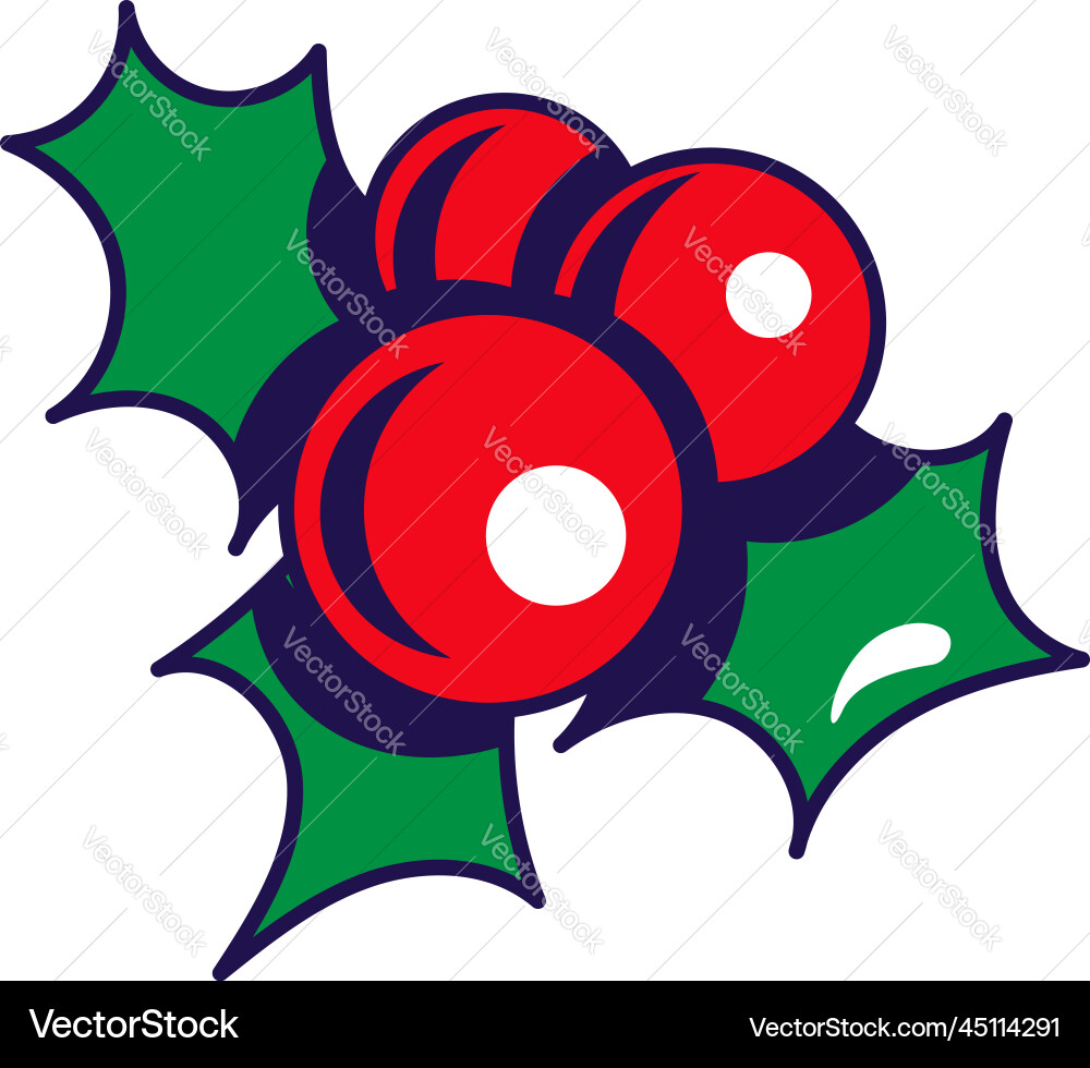 Mistletoe christmas natural decoration Royalty Free Vector