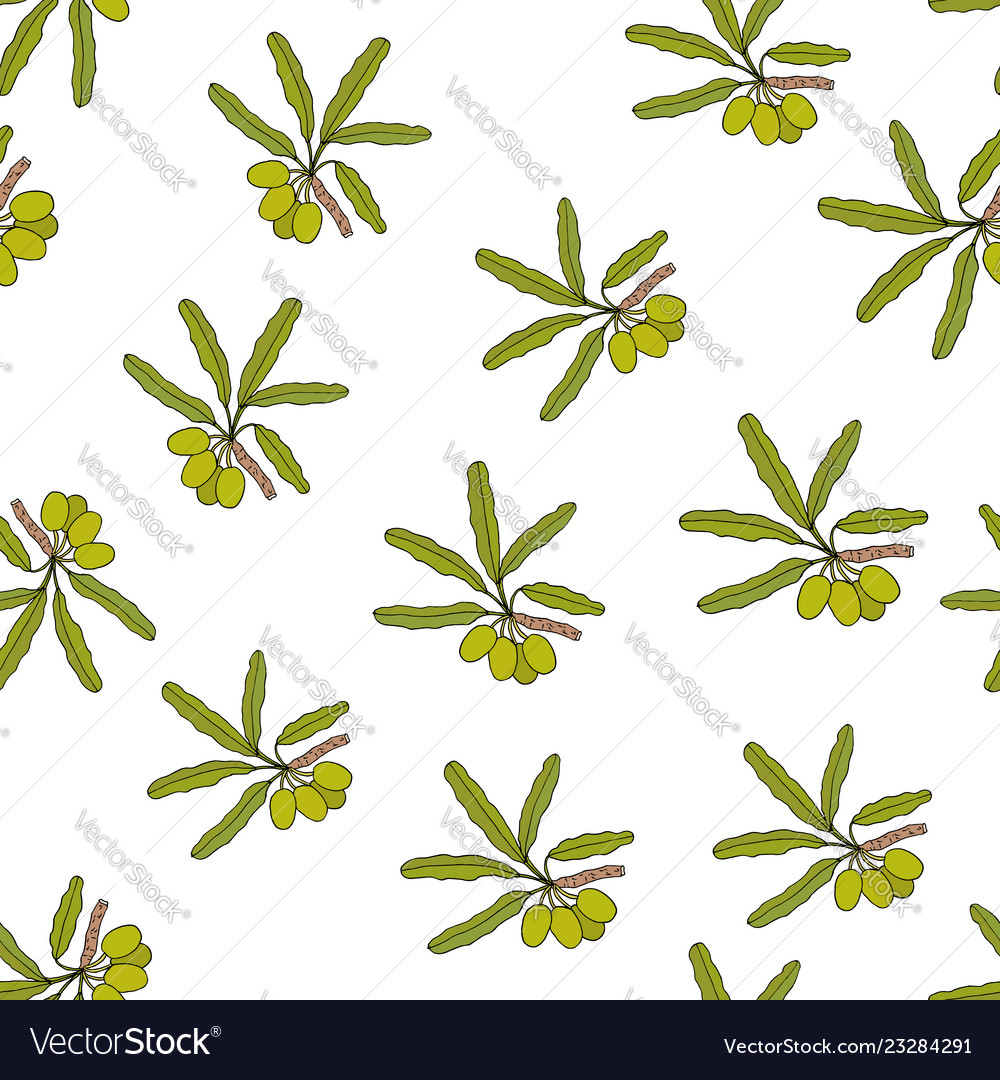 Shea tree branches seamless pattern Royalty Free Vector