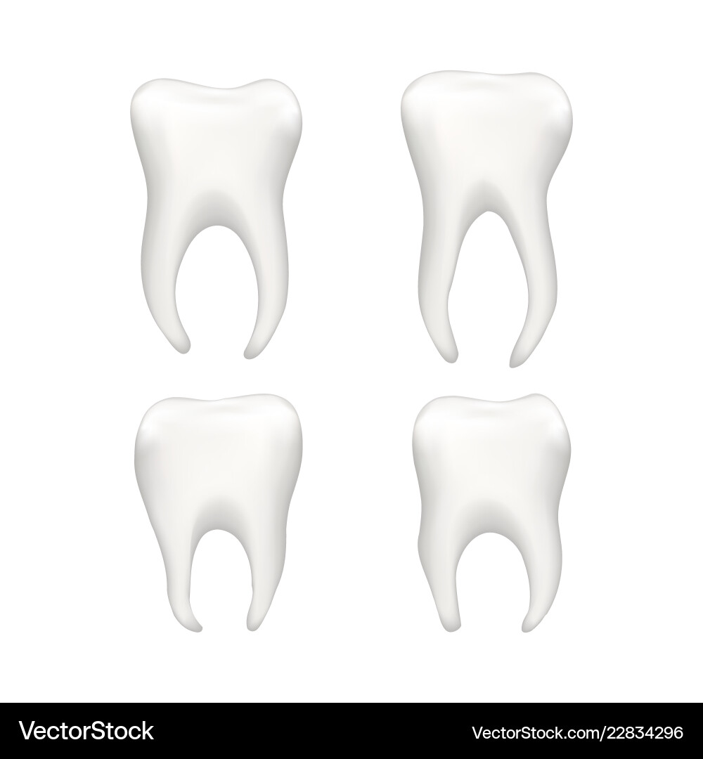 Set of bright realistic human teeths isolated Vector Image
