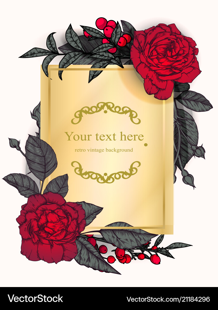 Vintage background victorian hand drawn rose Vector Image