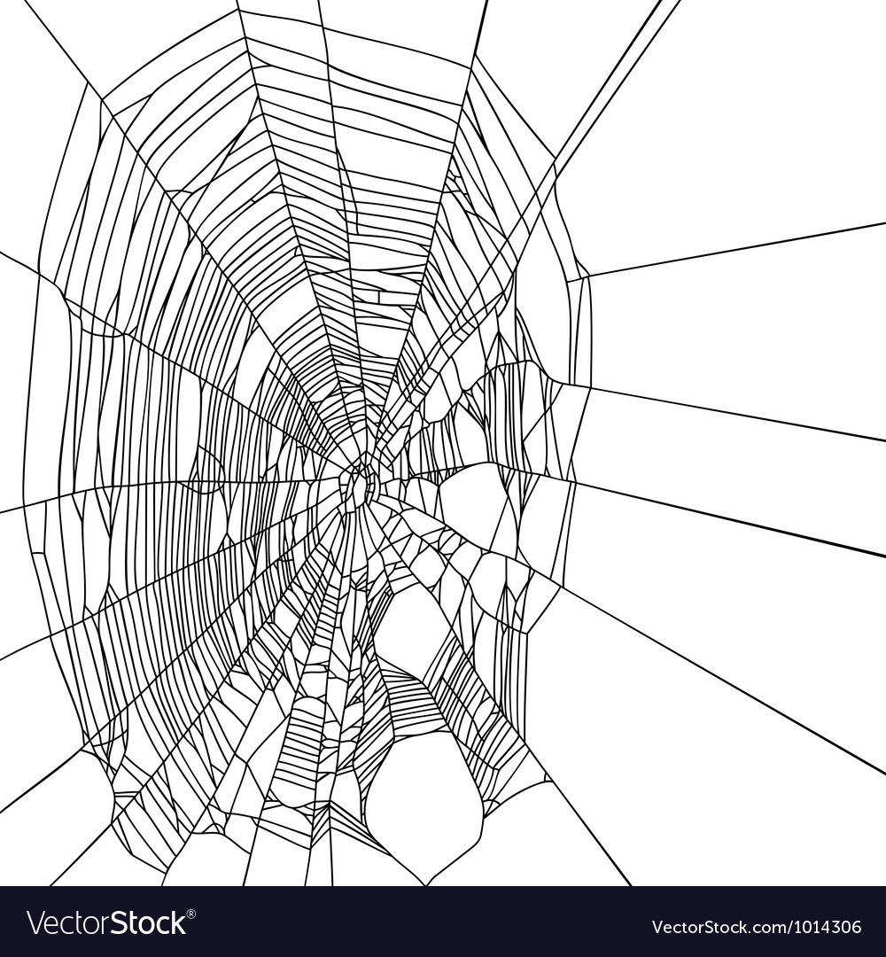 Cobweb Royalty Free Vector Image - VectorStock