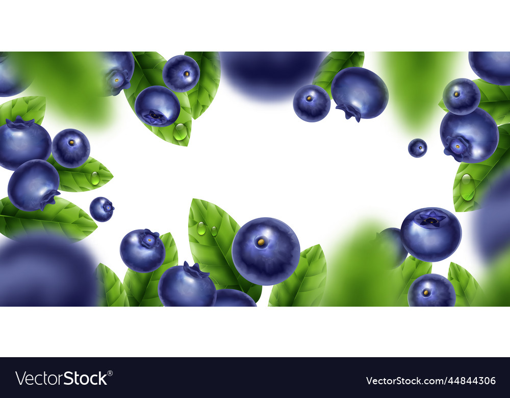 Realistic blueberry background Royalty Free Vector Image