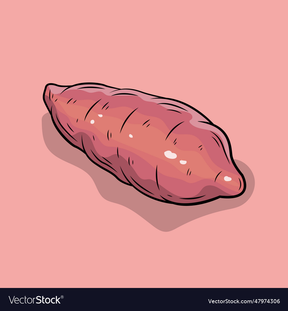 Sweet potato Royalty Free Vector Image - VectorStock Sweet potato Royalty Free Vector Image - VectorStock