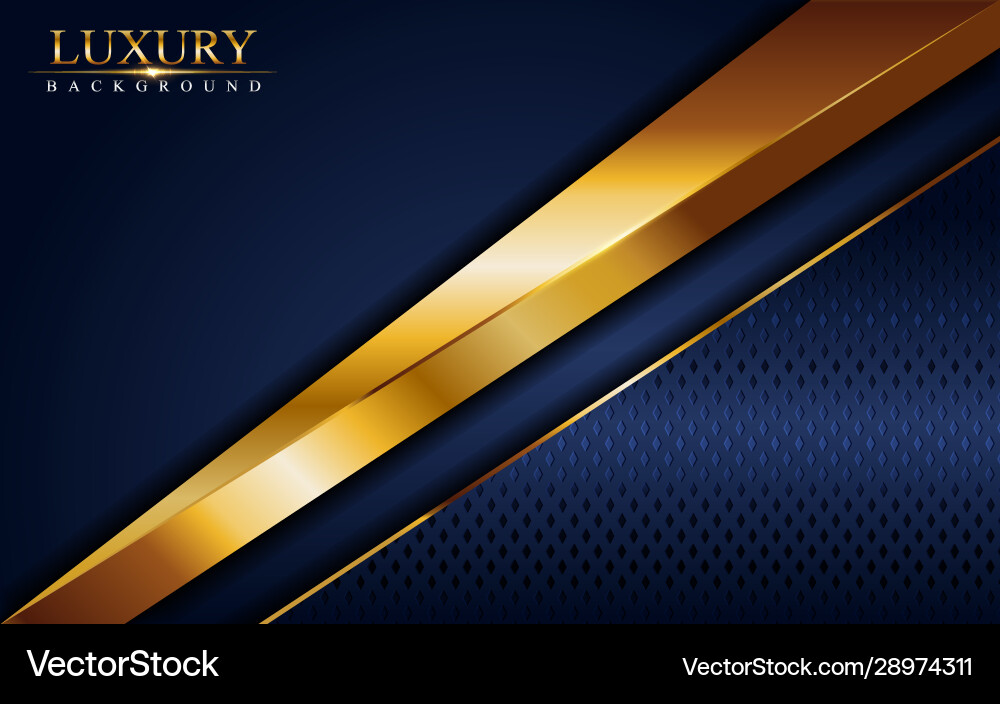 Luxury navy blue background combine with glowing Vector Image