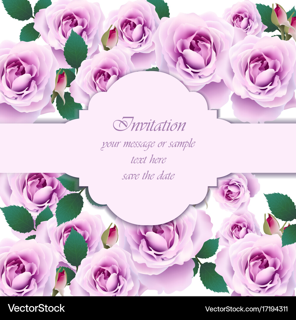 Roses flower invitation card delicate Royalty Free Vector