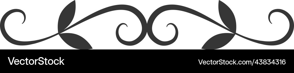 Elegant page divider natural vine decorative Vector Image