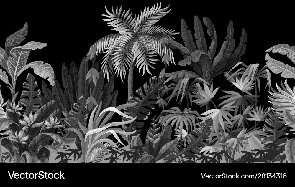 Seamless border with jungle trees in monochrome Vector Image
