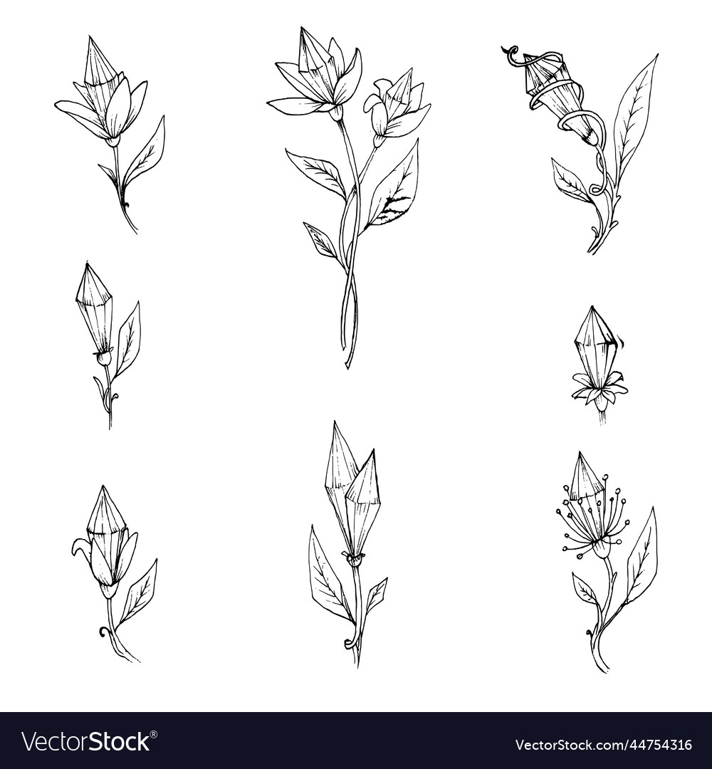 Set of objects sketch hand drawn lines texture Vector Image