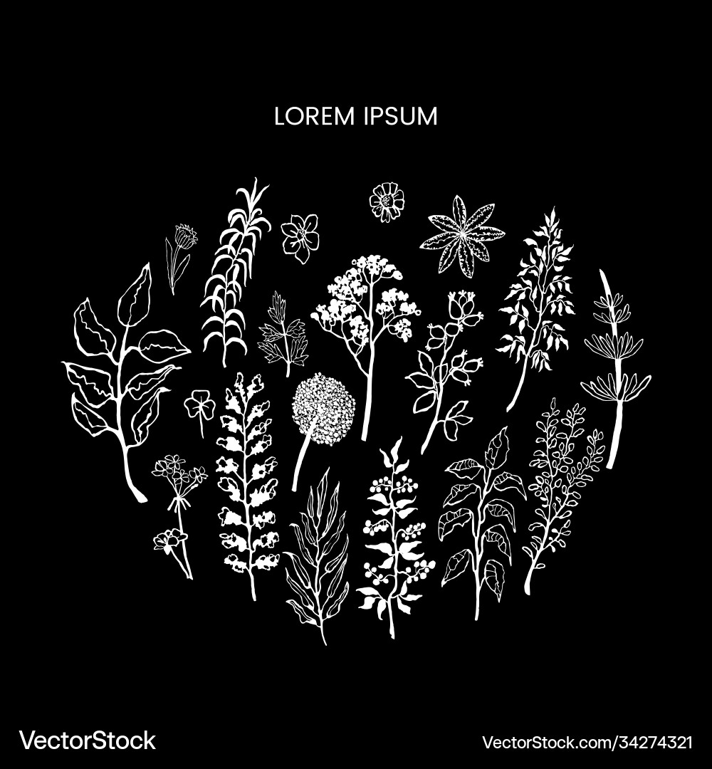 Floral template with plants and flowers Royalty Free Vector