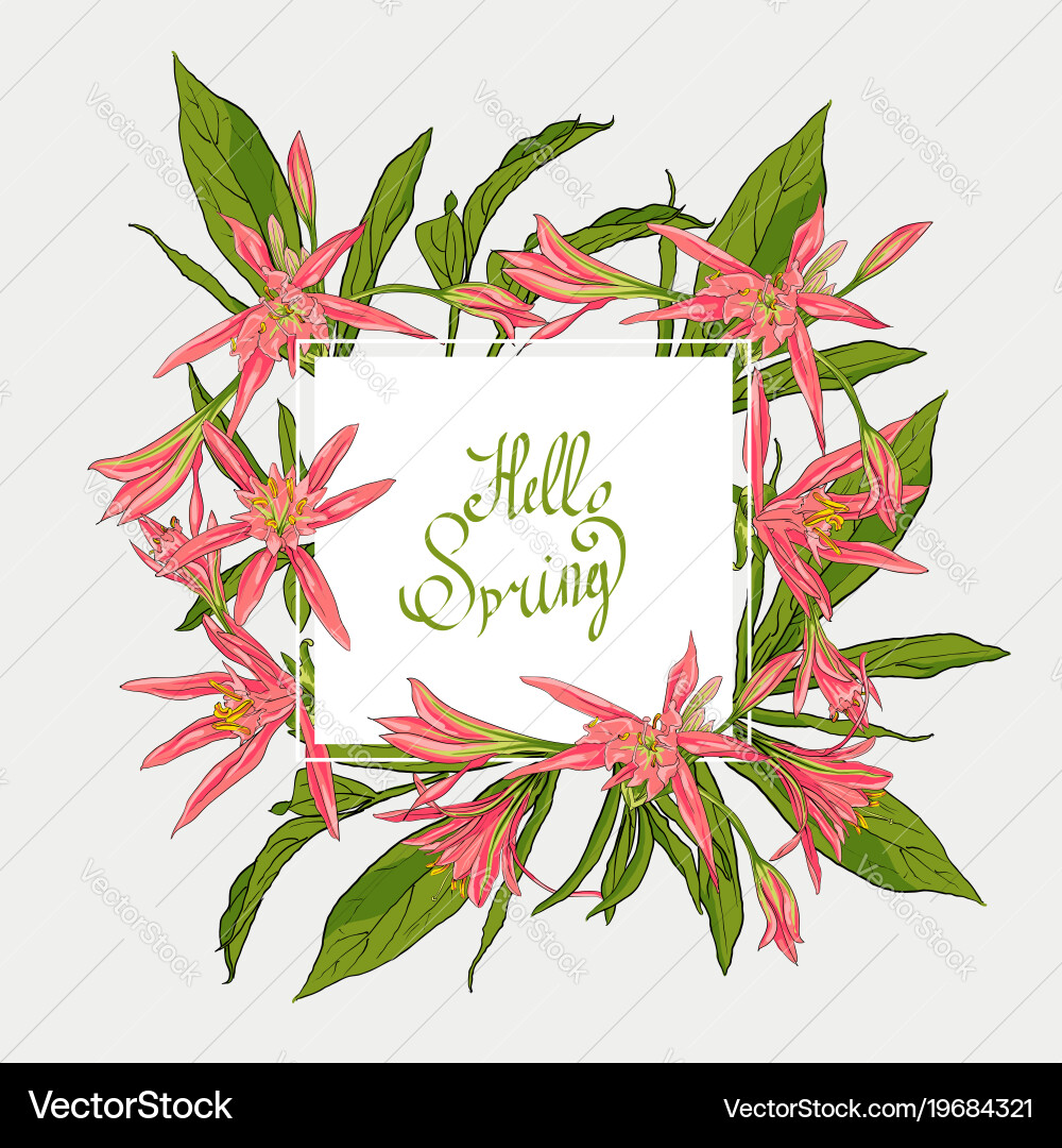 Flowers lilies square frame hello spring Vector Image