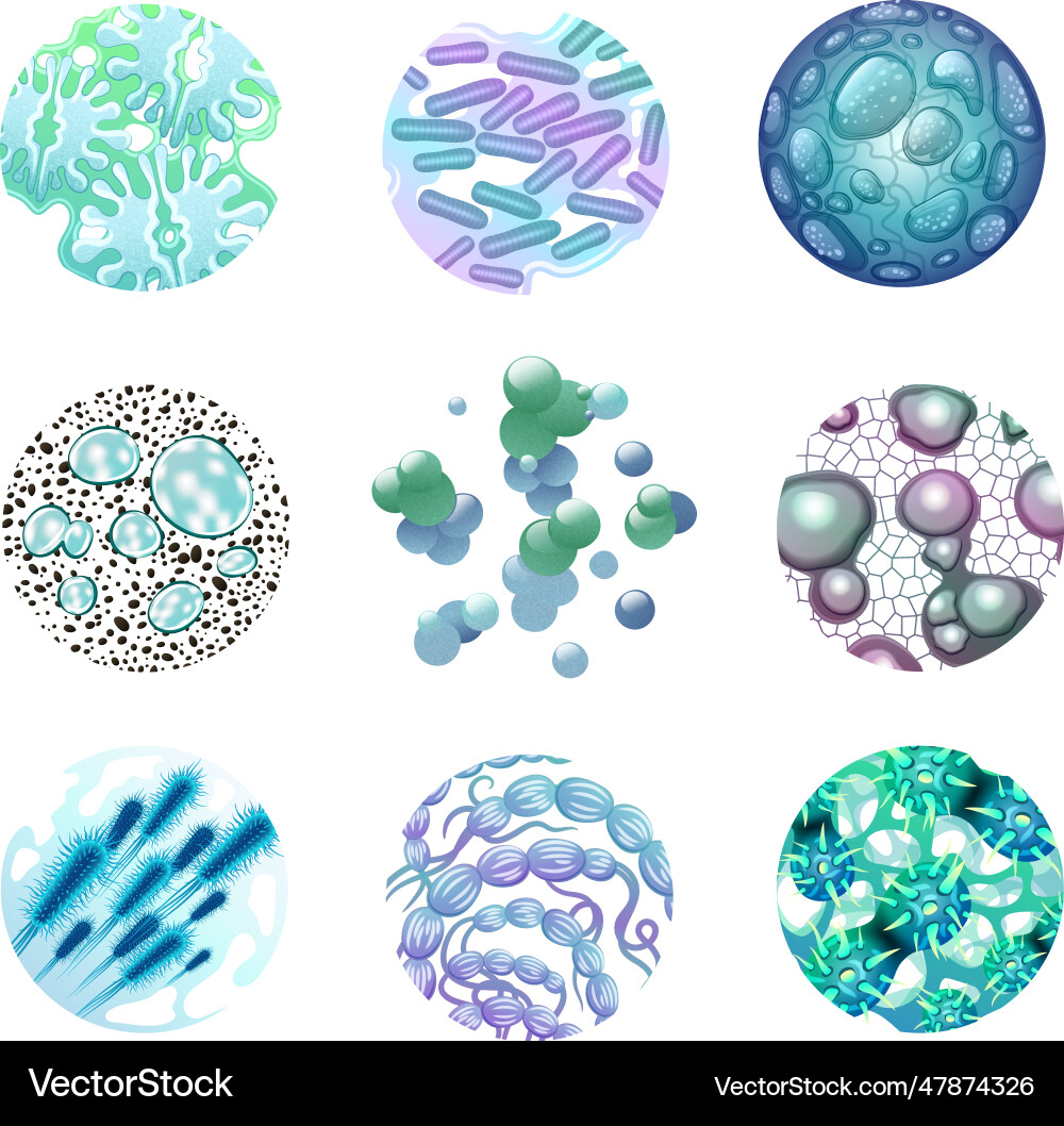 Bacteria icons set bacteria icons set Royalty Free Vector