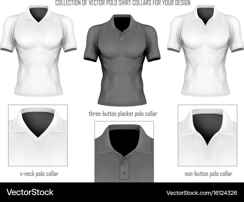 Collection of polo Royalty Free Vector Image - VectorStock