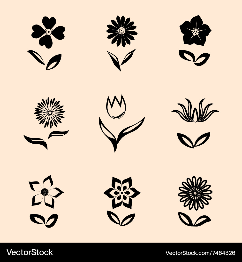 Flower set on retro background black symbols Vector Image