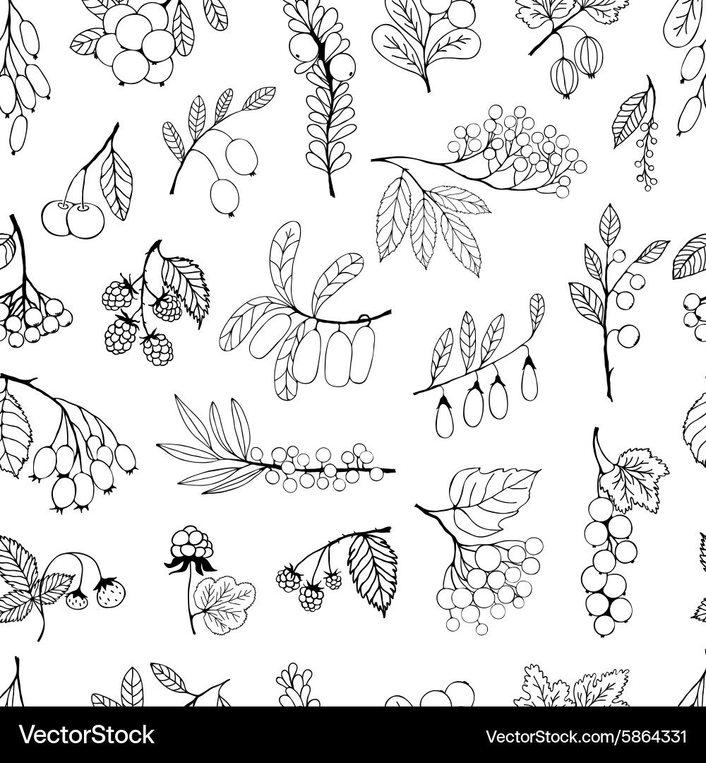 Seamless background garden and wild hand-drawn Vector Image