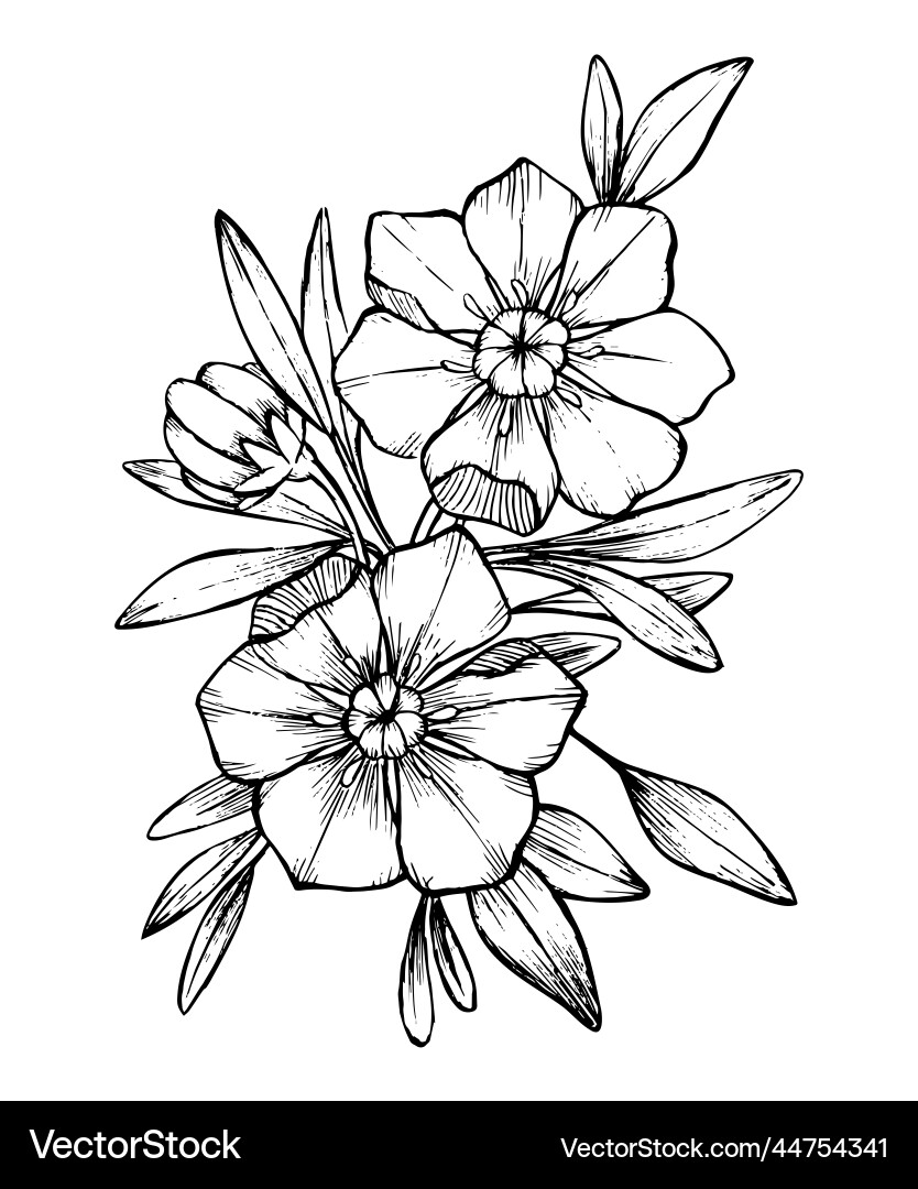 Flower freehand sketch sketch Royalty Free Vector Image