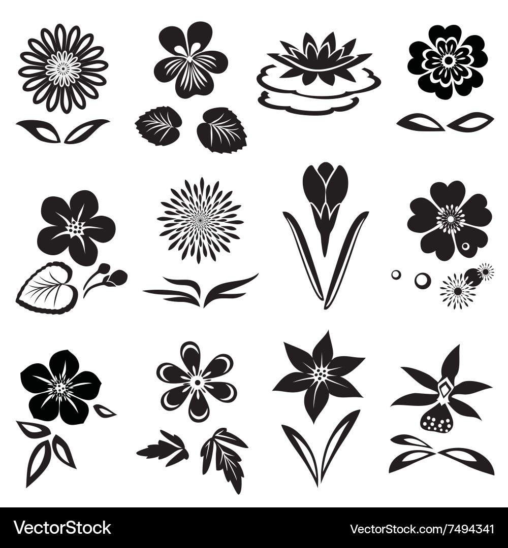 Flower set nasturtium primula lily viola anemone Vector Image