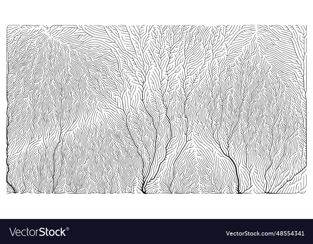 Growth pattern generative branching structure Vector Image
