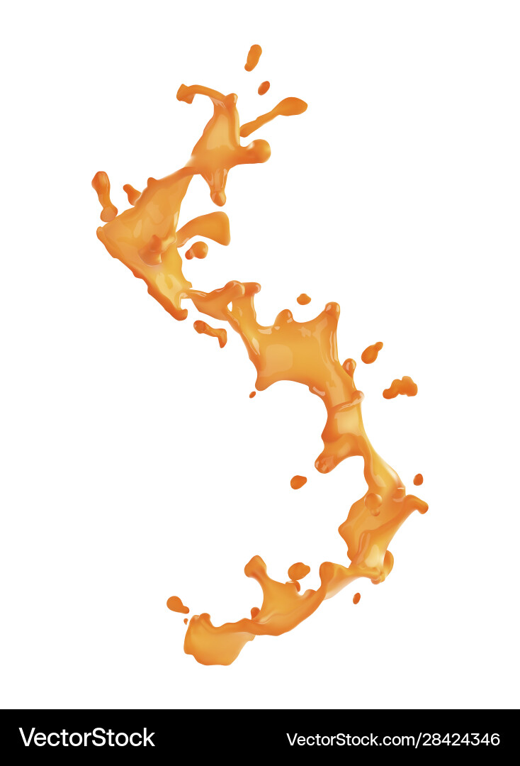 A splash citrus juice realistic Royalty Free Vector Image