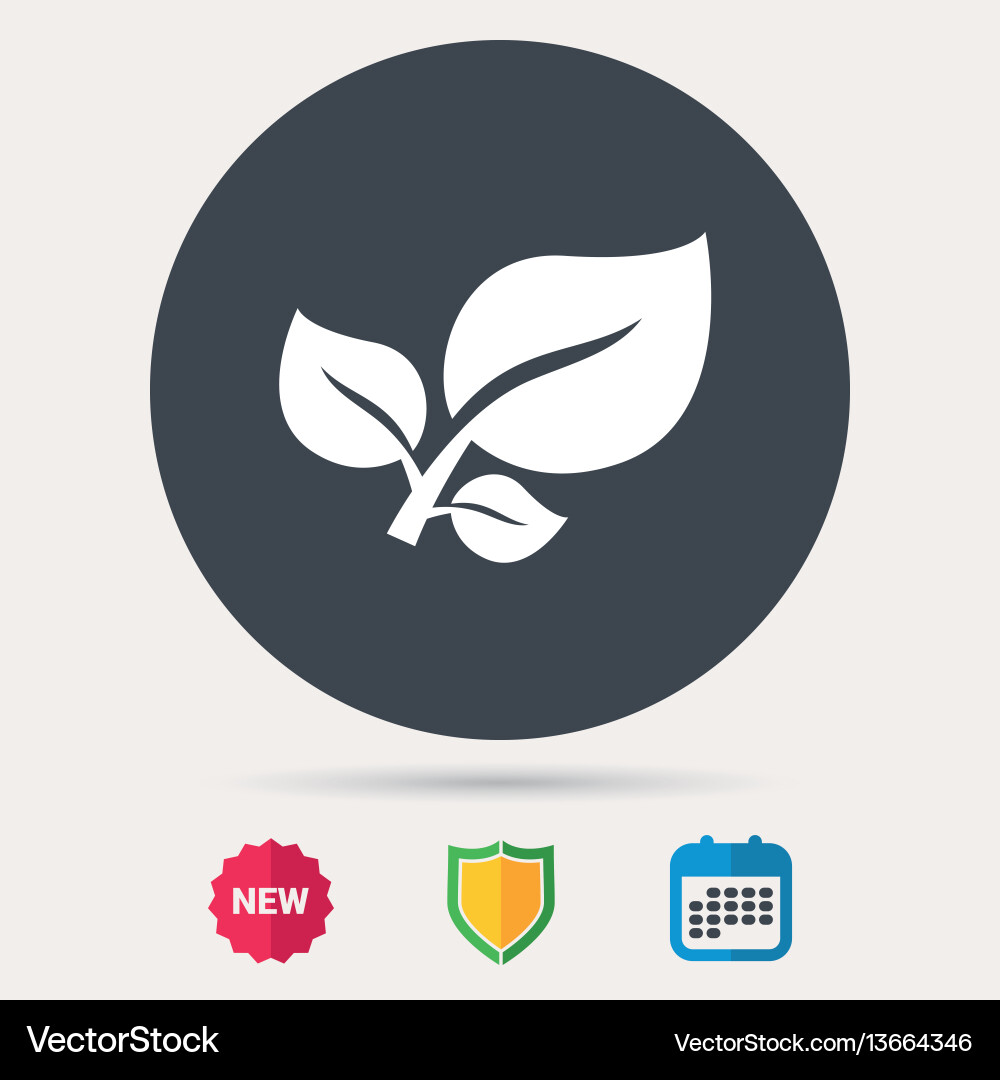 Leaf icon fresh organic product sign Royalty Free Vector