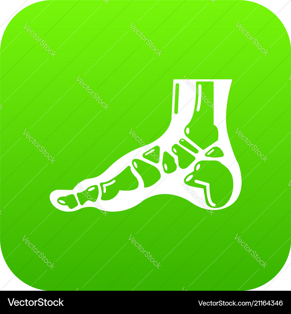 Xray of foot icon simple style Royalty Free Vector Image