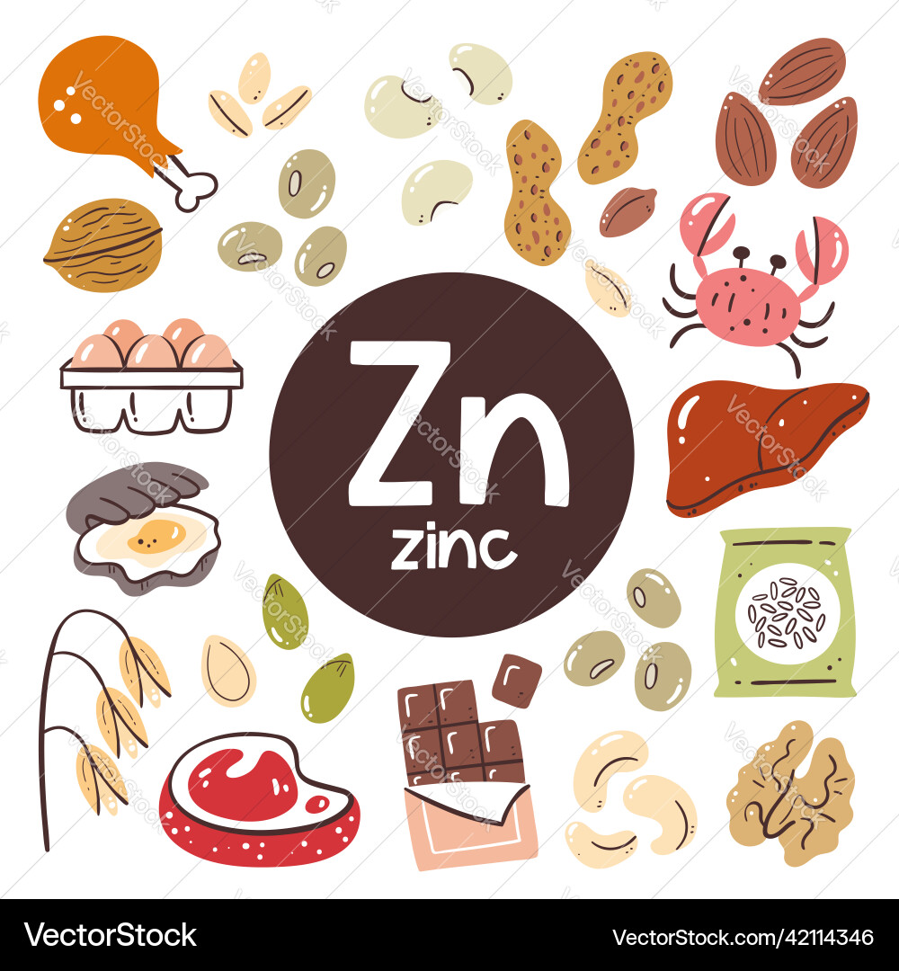 Zinc food ingredients icon set Royalty Free Vector Image