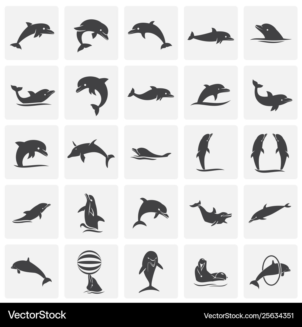 Dolphin icons set on background for graphic Vector Image