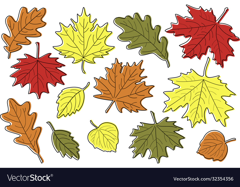 Set bright realistic autumn leaves fall Royalty Free Vector