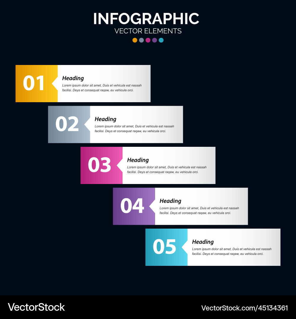 5 steps infographics design and marketing can Vector Image