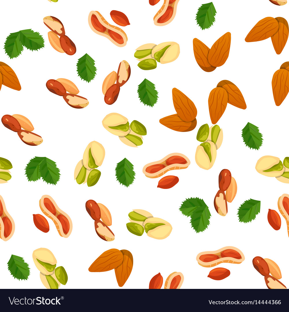 Nuts Royalty Free Vector Image - VectorStock