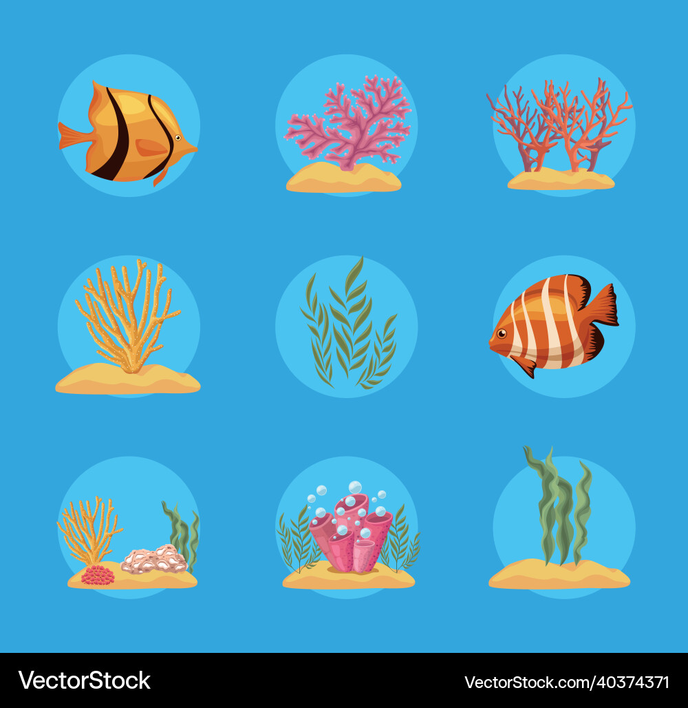 Nine sea life icons Royalty Free Vector Image - VectorStock