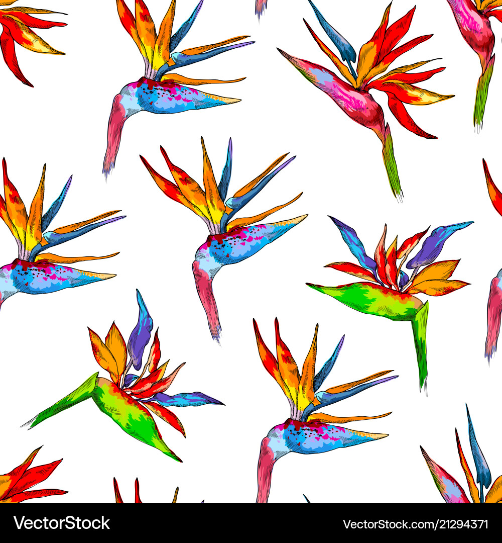 Seamless pattern of colorful strelitzia collection