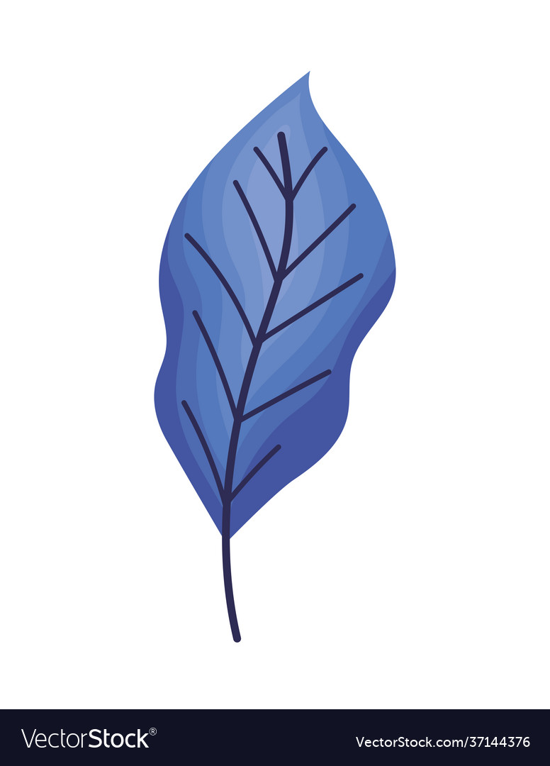 Blue leaf Royalty Free Vector Image - VectorStock