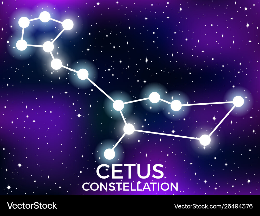 Cetus constellation starry night sky cluster of Vector Image