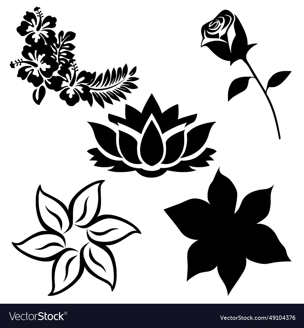 Flower Royalty Free Vector Image - VectorStock
