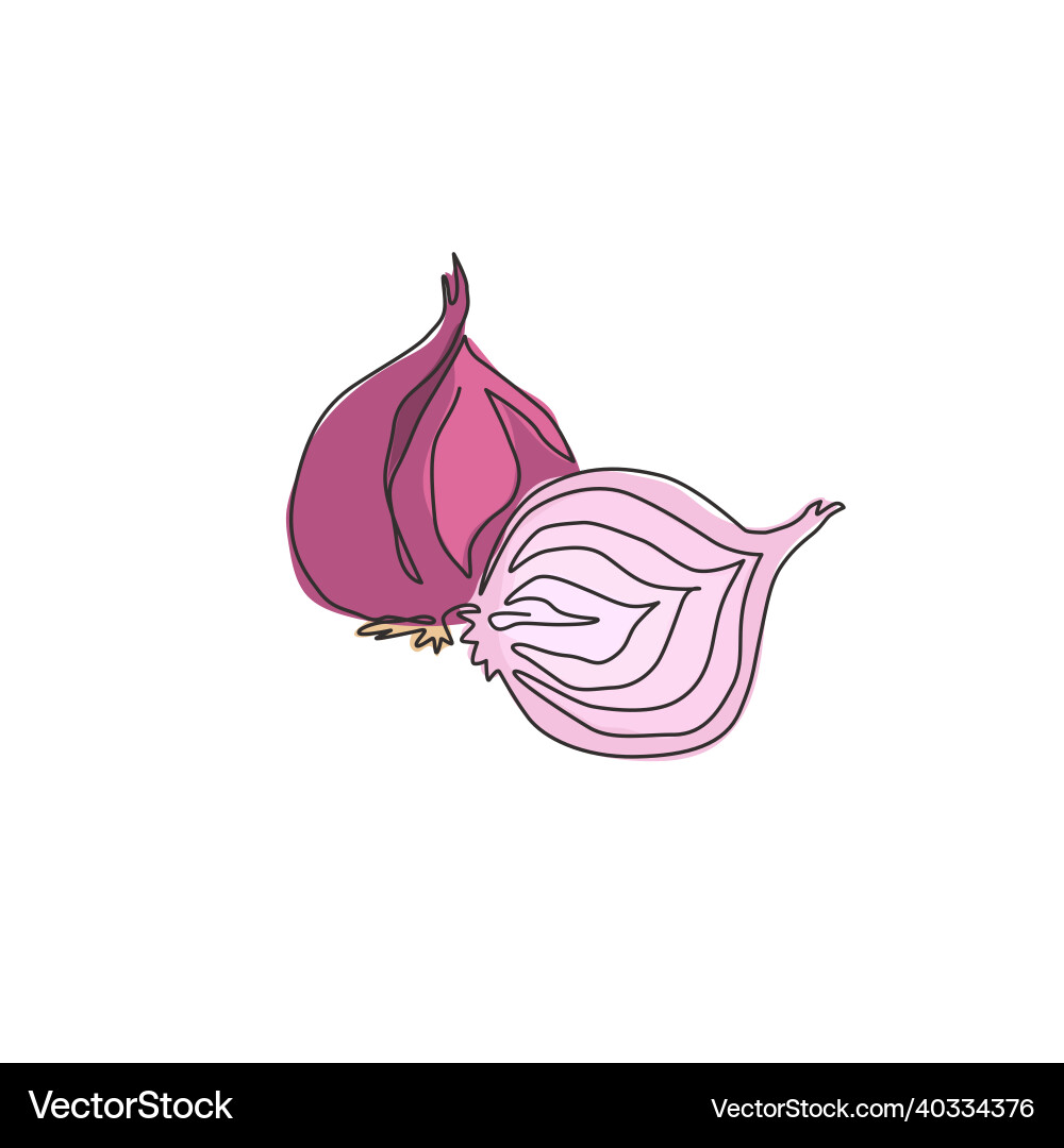 One single line drawing whole and sliced healthy Vector Image