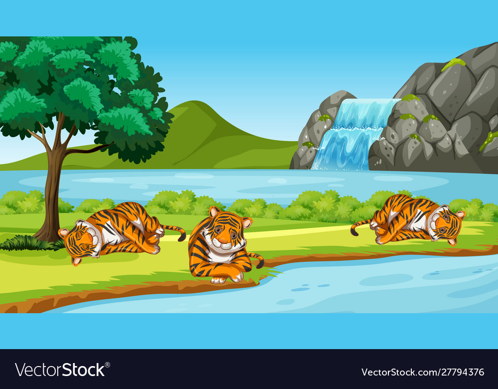 Scene with wild tigers in park Royalty Free Vector Image