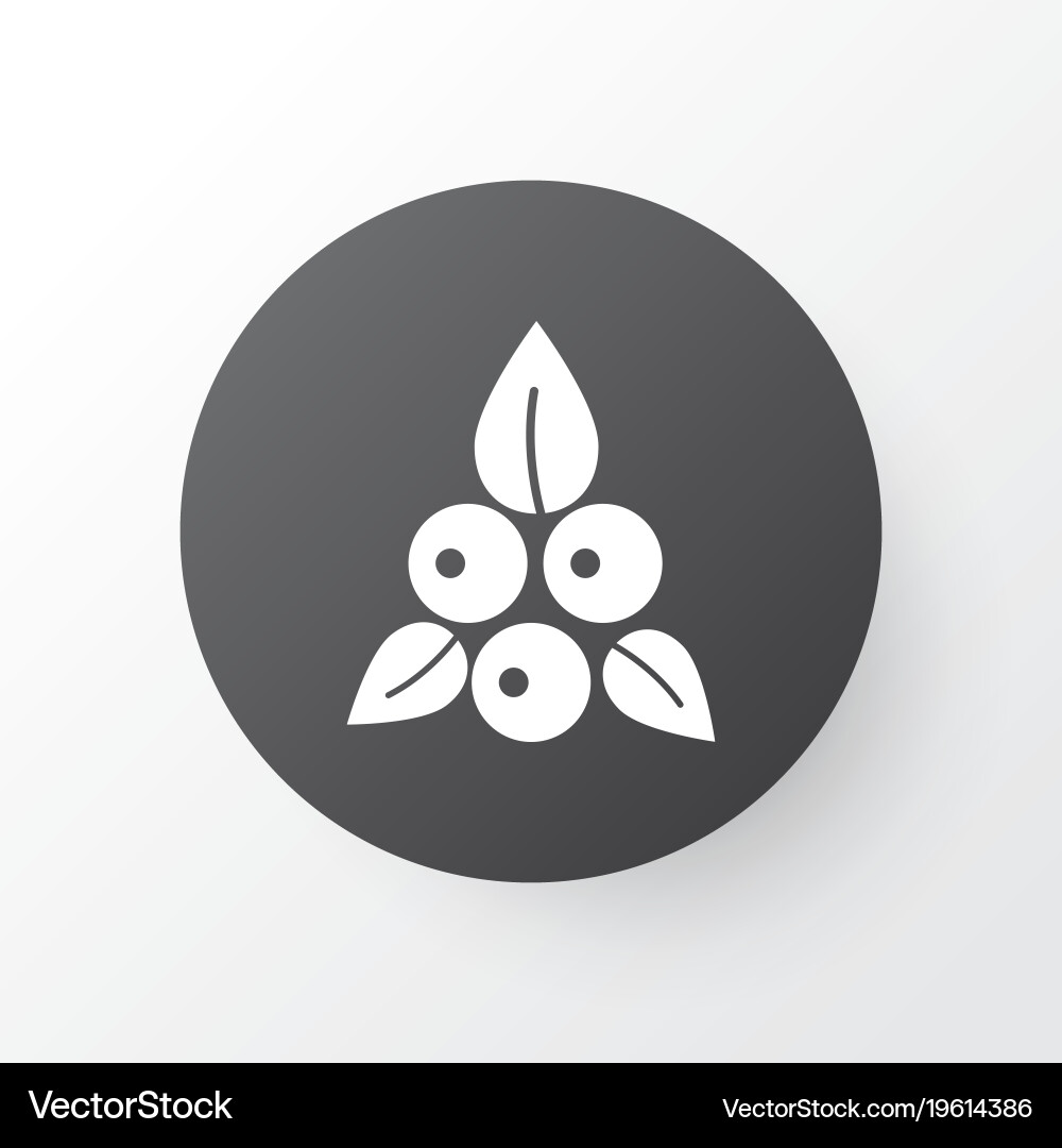 Berries icon symbol premium quality isolated Vector Image