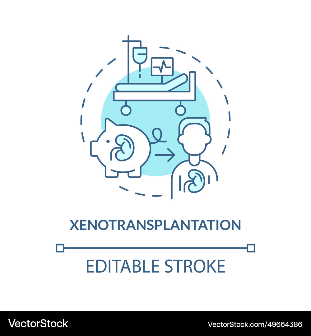 Thin line simple blue xenotransplantation icon Vector Image