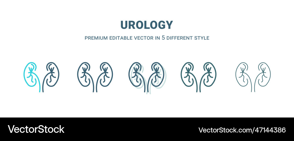 Urology icon in 5 different style outline filled Vector Image