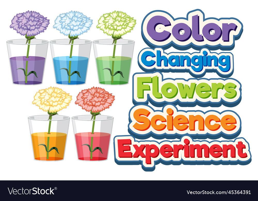 Color changing flowers science experiment Vector Image