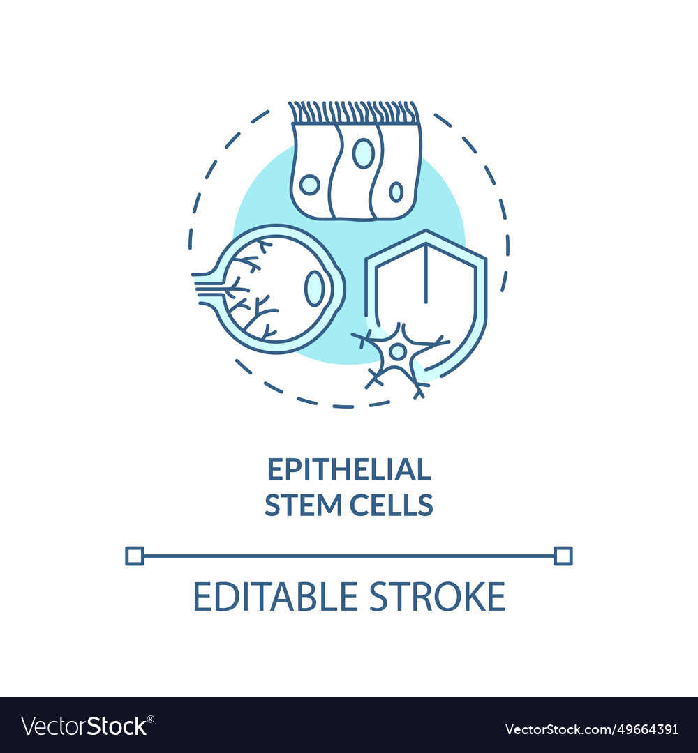 Thin line simple blue epithelial stem cells icon Vector Image