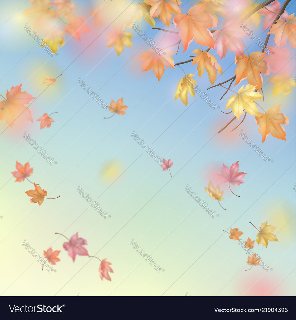 Flying autumn leaves Royalty Free Vector Image