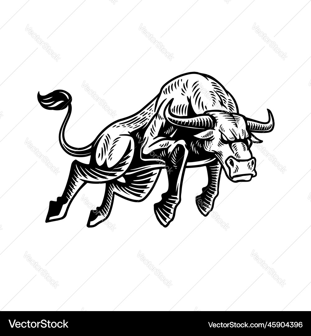 Monochrome hand drawn bull with abstract sketch Vector Image