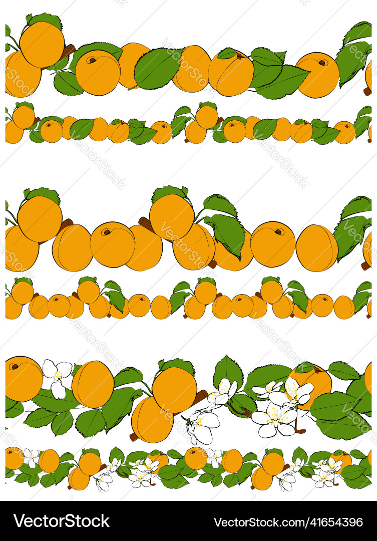 Set of apricots line seamless borders Royalty Free Vector
