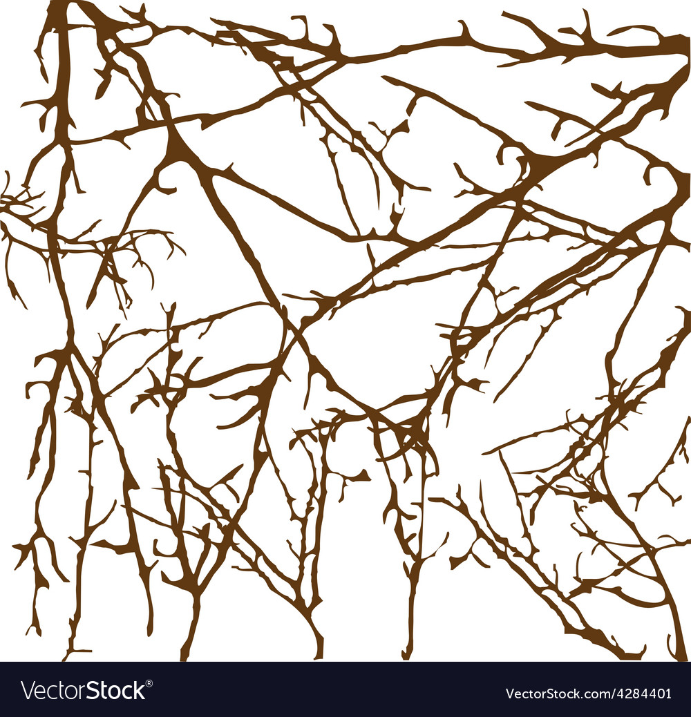 Branches brown Royalty Free Vector Image - VectorStock