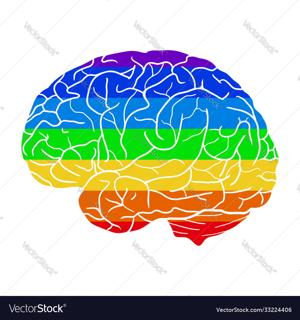 Human brain with a rainbow background different Vector Image
