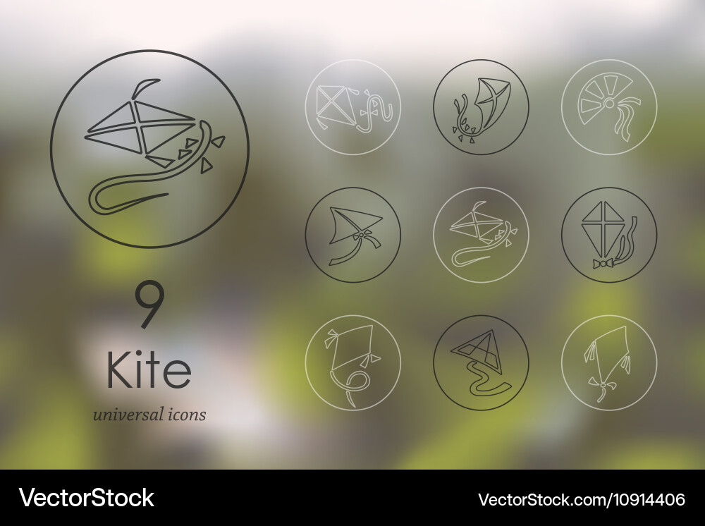 Set of kite icons Royalty Free Vector Image - VectorStock