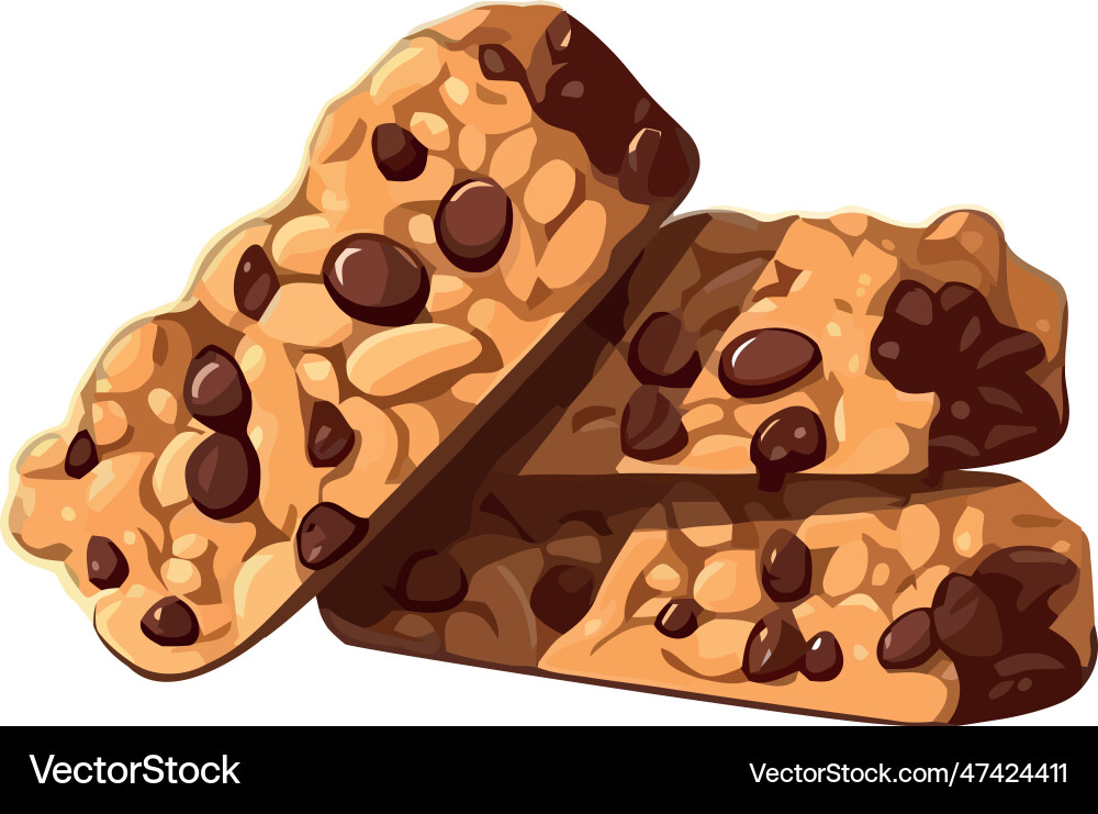Chocolate cookie bars Royalty Free Vector Image