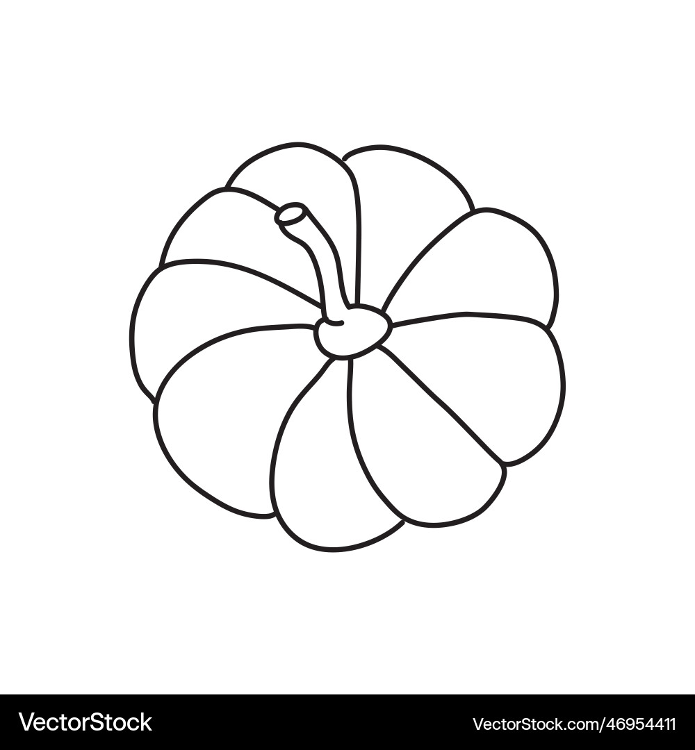 Stock with single object food hand drawn doodle Vector Image